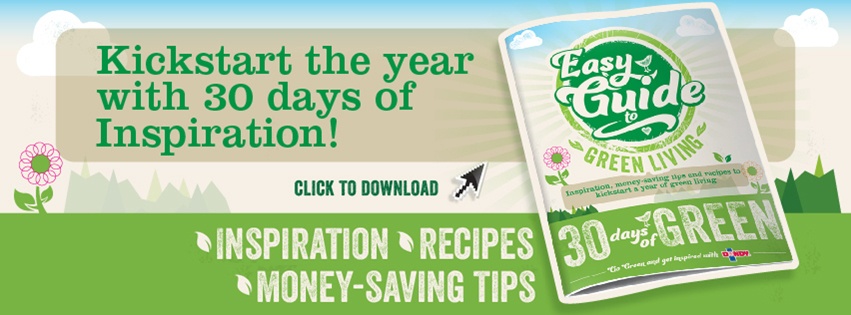 Show Me The Green - The Easy Guide to Green Living